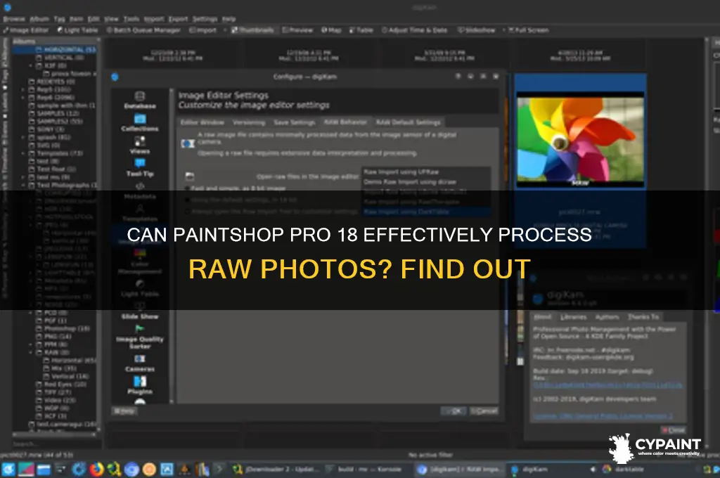 Can Paintshop Pro 18 Effectively Process Raw Photos? Find Out | CyPaint