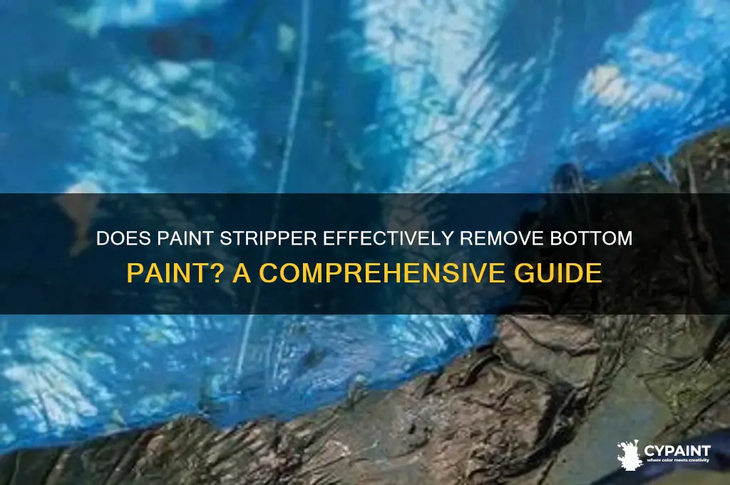 Does Paint Stripper Effectively Remove Bottom Paint? A Comprehensive ...