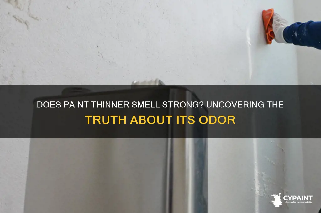 Does Paint Thinner Smell Strong? Uncovering The Truth About Its Odor ...