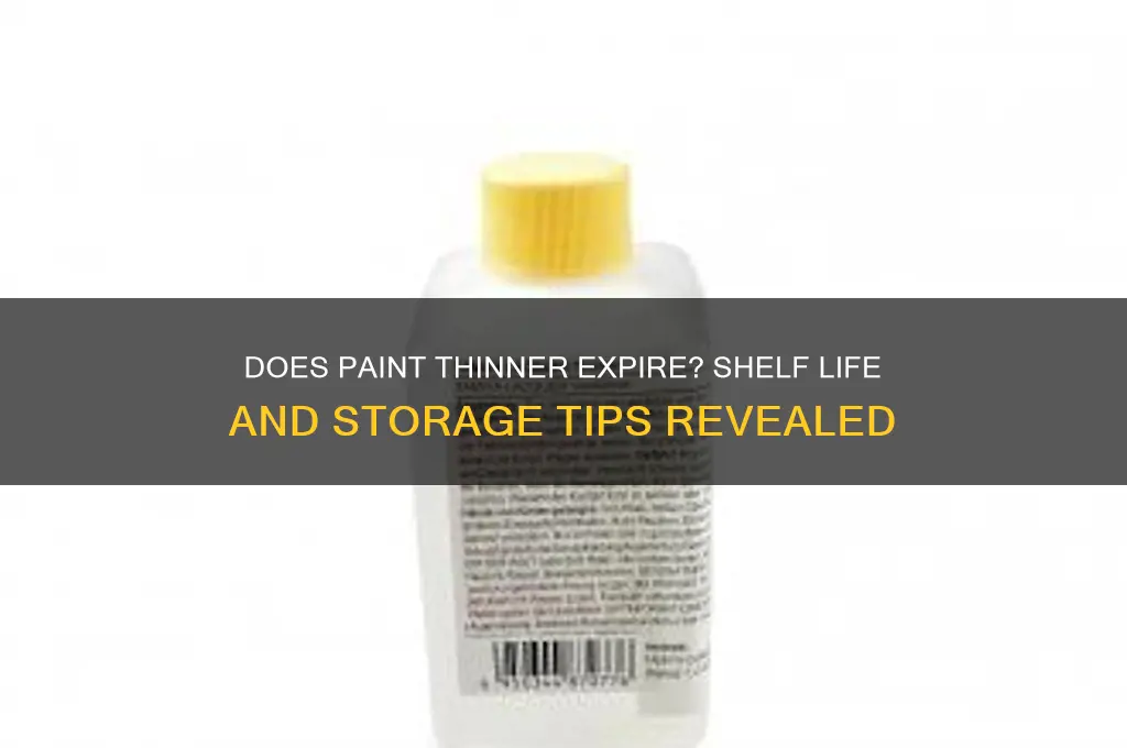 Does Paint Thinner Expire? Shelf Life And Storage Tips Revealed | CyPaint