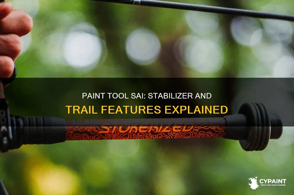 Paint Tool Sai: Stabilizer And Trail Features Explained | CyPaint