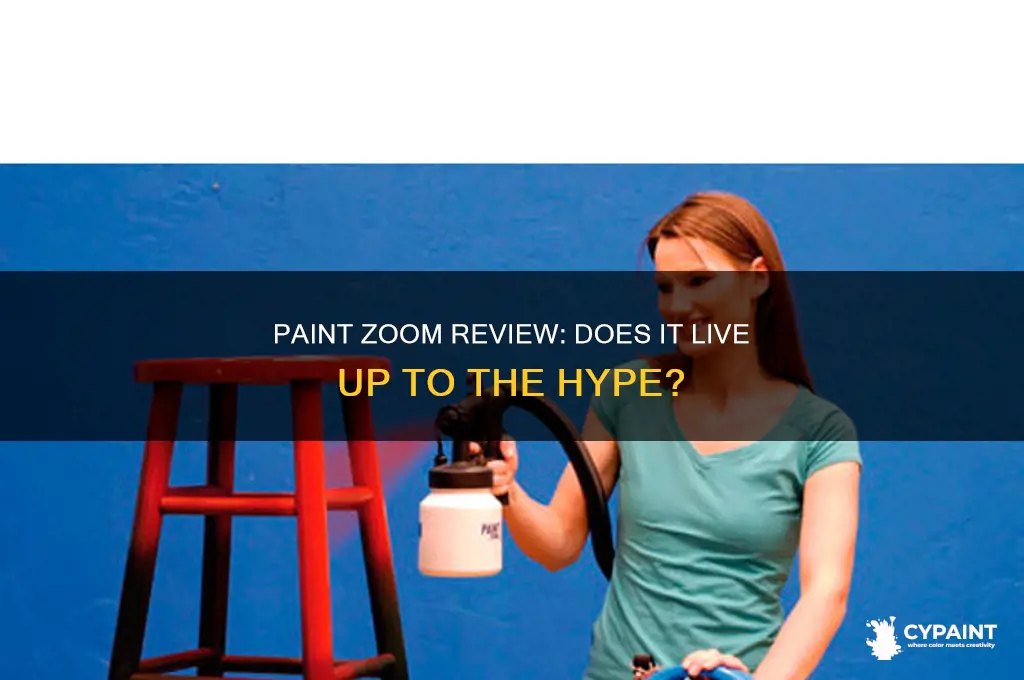 Paint Zoom Review: Does It Live Up To The Hype? | CyPaint