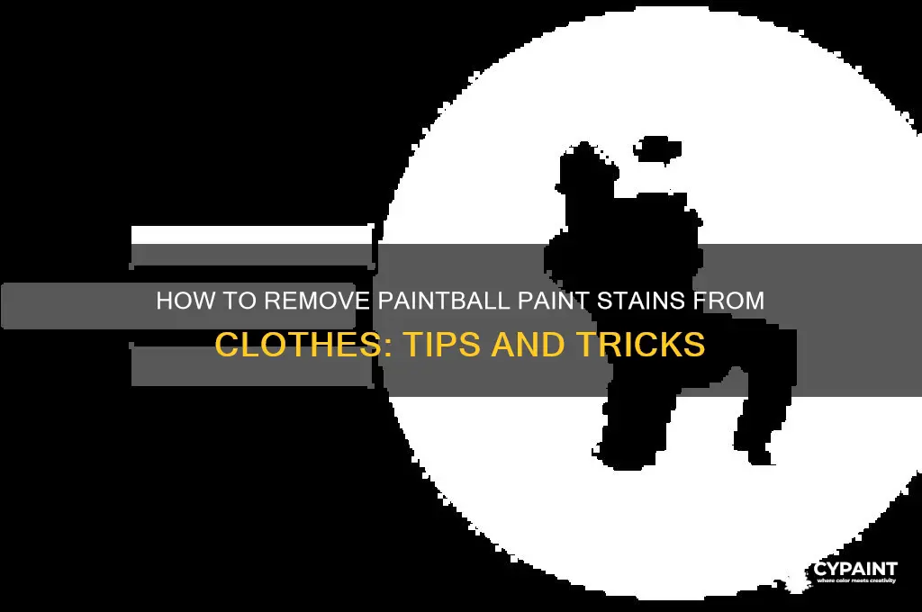 How To Remove Paintball Paint Stains From Clothes: Tips And Tricks ...