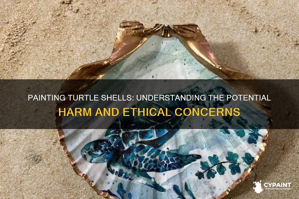 Painting Turtle Shells: Understanding The Potential Harm And Ethical ...