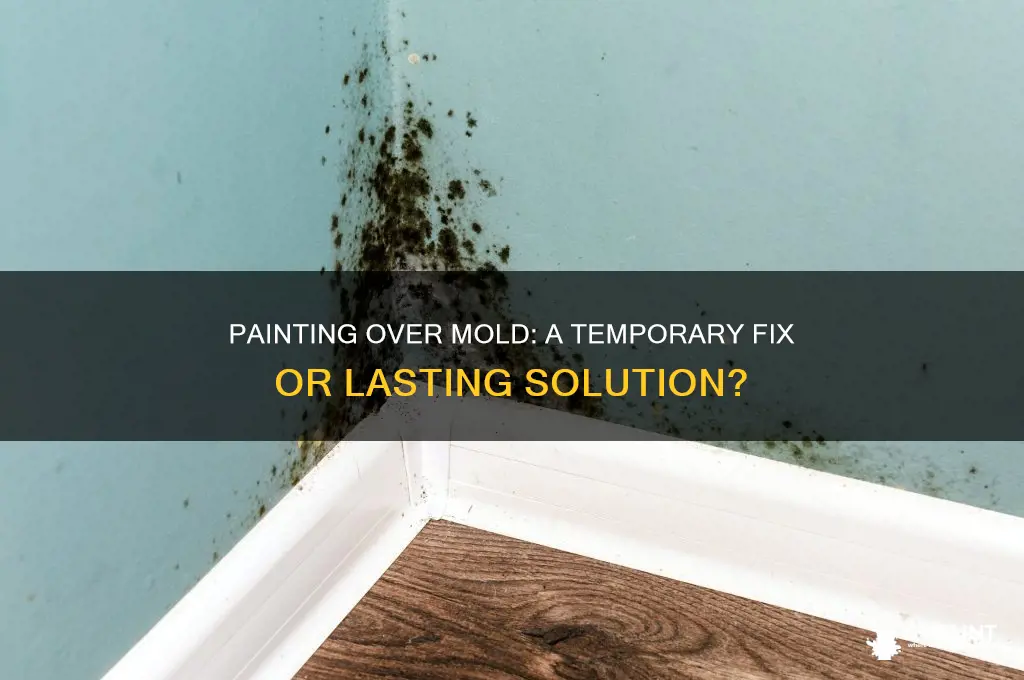Painting Over Mold: A Temporary Fix Or Lasting Solution? | CyPaint
