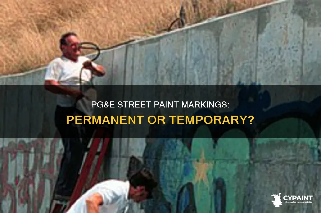 Pg&E Street Paint Markings: Permanent Or Temporary? | CyPaint