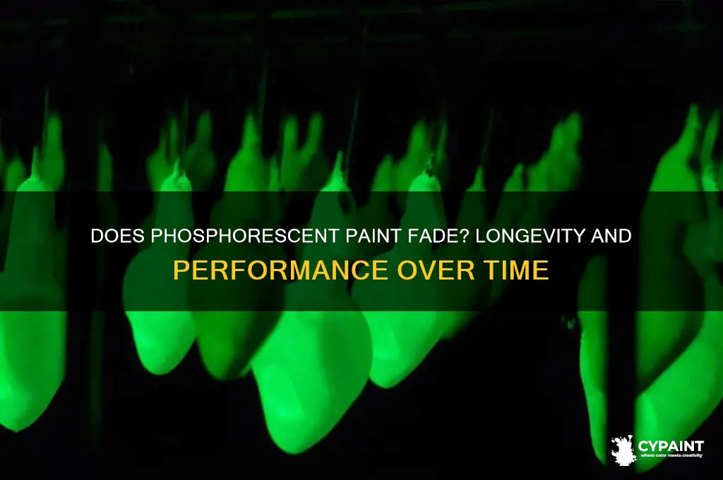 Does Phosphorescent Paint Fade? Longevity And Performance Over Time ...