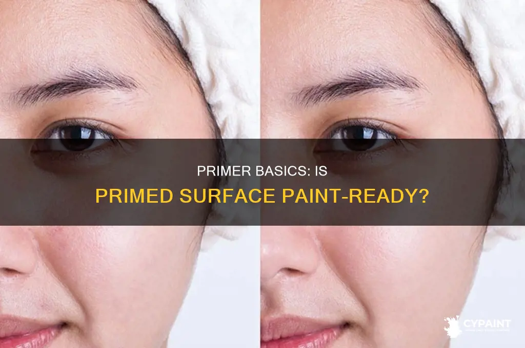 Primer Basics: Is Primed Surface Paint-Ready? | CyPaint