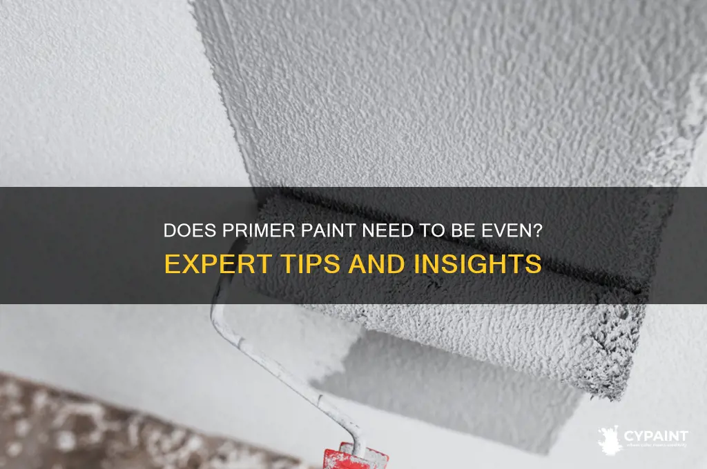 Does Primer Paint Need To Be Even? Expert Tips And Insights | CyPaint