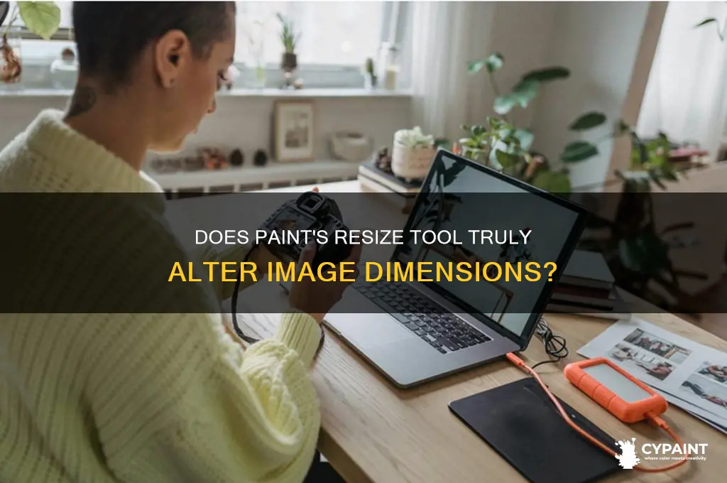 Does Paint's Resize Tool Truly Alter Image Dimensions? | CyPaint