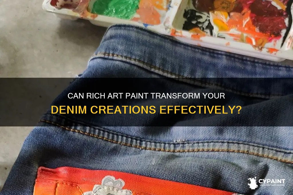 Can Rich Art Paint Transform Your Denim Creations Effectively? | CyPaint