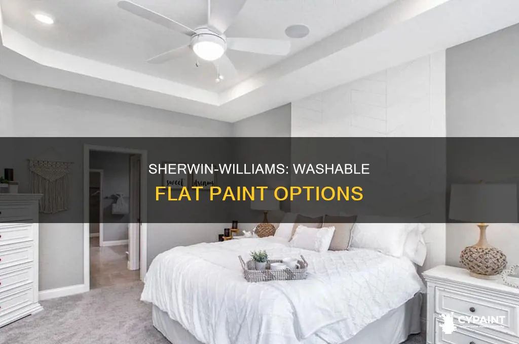 Sherwin-Williams: Washable Flat Paint Options | CyPaint