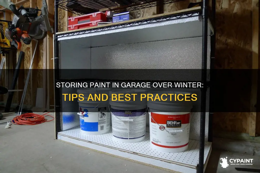 Storing Paint In Garage Over Winter: Tips And Best Practices | CyPaint