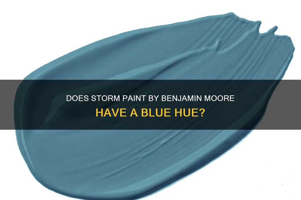 Does Storm Paint By Benjamin Moore Have A Blue Hue? | CyPaint