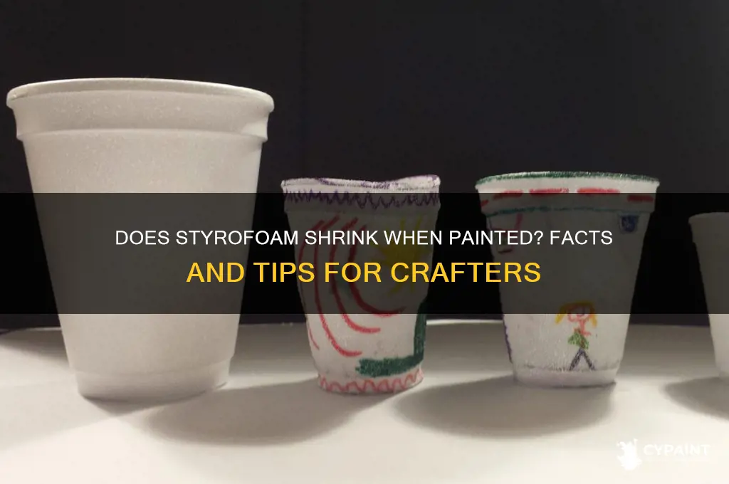 Does Styrofoam Shrink When Painted? Facts And Tips For Crafters | CyPaint