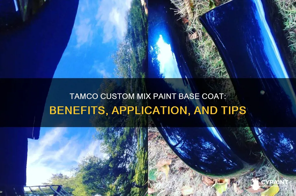 Tamco Custom Mix Paint Base Coat: Benefits, Application, And Tips | CyPaint