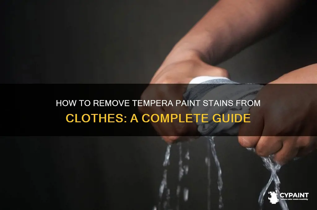 How To Remove Tempera Paint Stains From Clothes: A Complete Guide | CyPaint