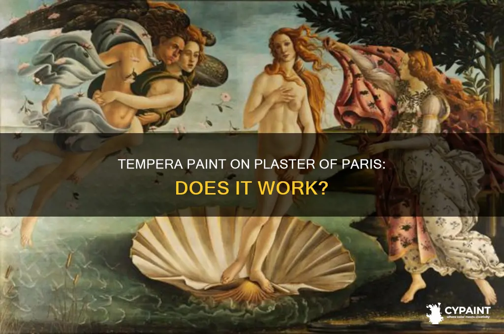Tempera Paint On Plaster Of Paris: Does It Work? | CyPaint