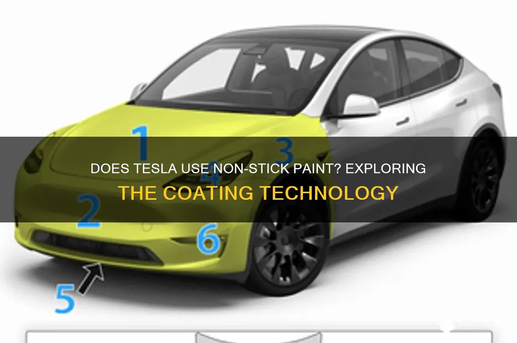 Does Tesla Use Non-Stick Paint? Exploring The Coating Technology | CyPaint