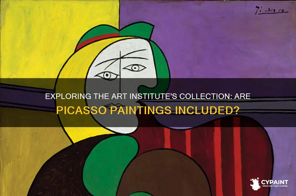 Exploring The Art Institute's Collection: Are Picasso Paintings ...