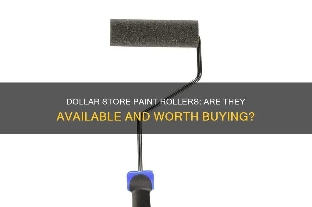 Dollar Store Paint Rollers: Are They Available And Worth Buying? | CyPaint