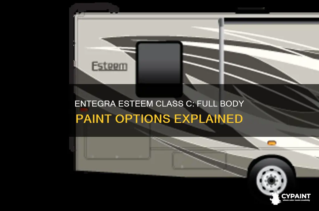 Entegra Esteem Class C: Full Body Paint Options Explained | CyPaint