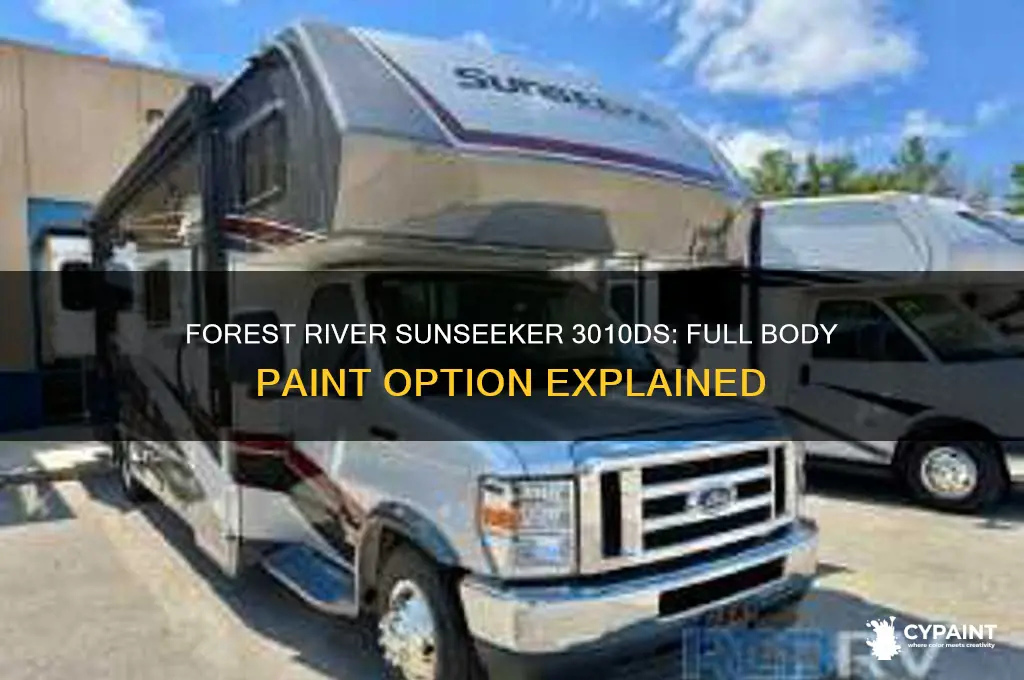 Forest River Sunseeker 3010Ds: Full Body Paint Option Explained | CyPaint