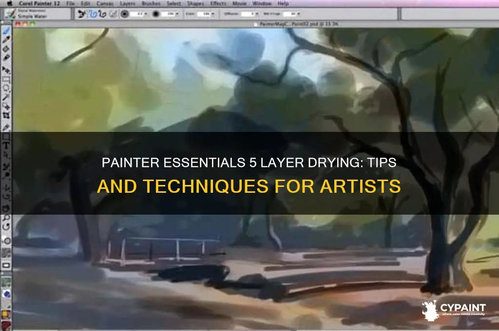 Painter Essentials 5 Layer Drying: Tips And Techniques For Artists ...