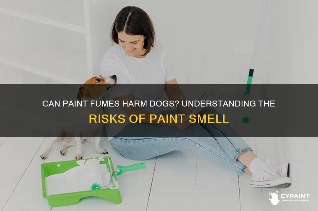 Can Paint Fumes Harm Dogs? Understanding The Risks Of Paint Smell | CyPaint