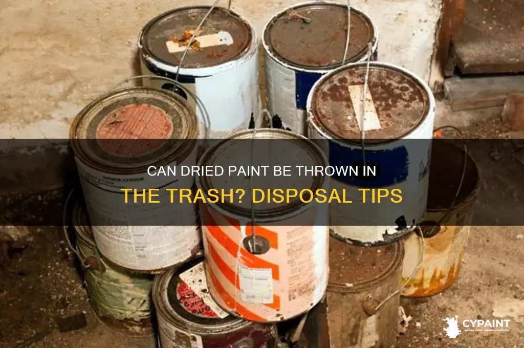 Can Dried Paint Be Thrown In The Trash? Disposal Tips | CyPaint
