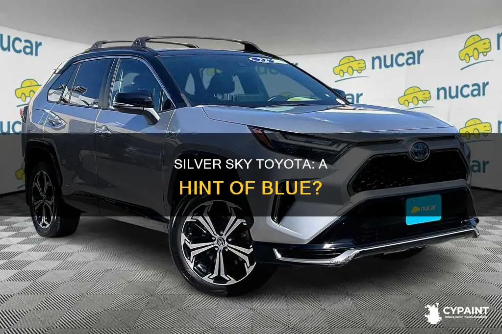 Silver Sky Toyota: A Hint Of Blue? | CyPaint