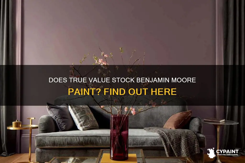 Does True Value Stock Benjamin Moore Paint? Find Out Here | CyPaint