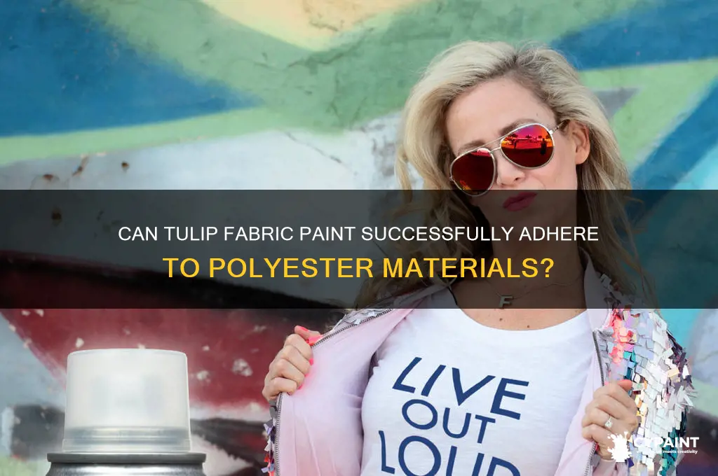 Can Tulip Fabric Paint Successfully Adhere To Polyester Materials ...