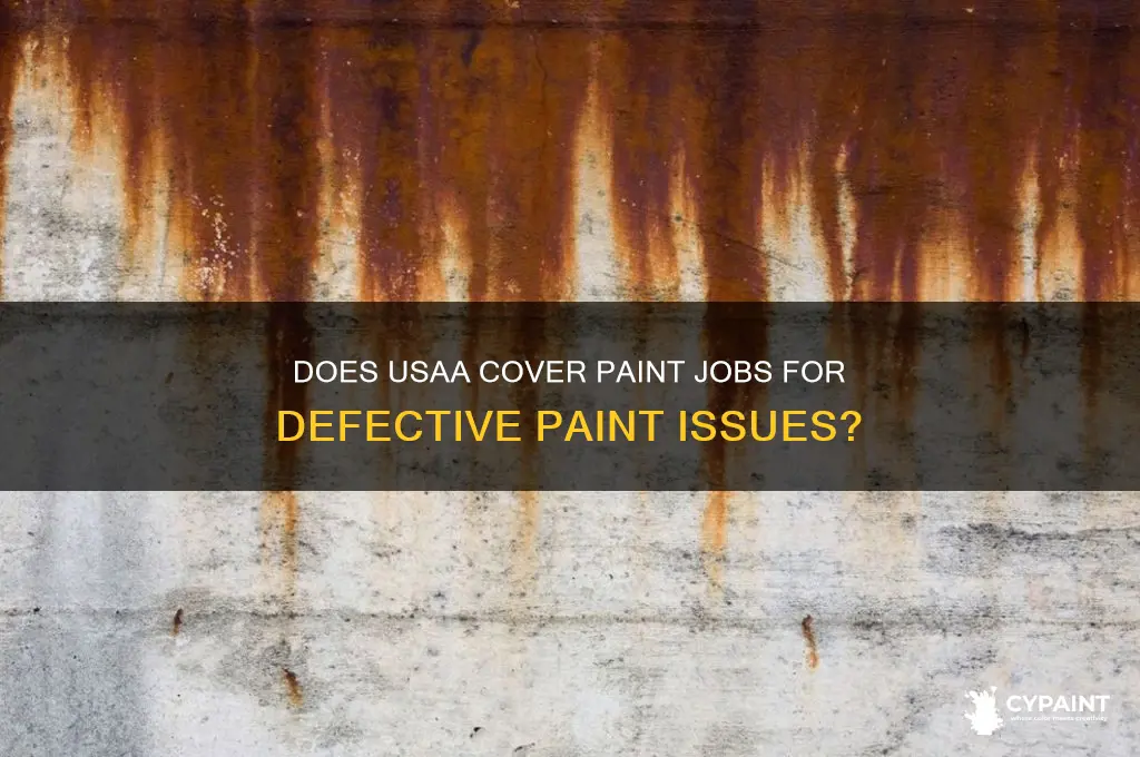 Does Usaa Cover Paint Jobs For Defective Paint Issues? | CyPaint