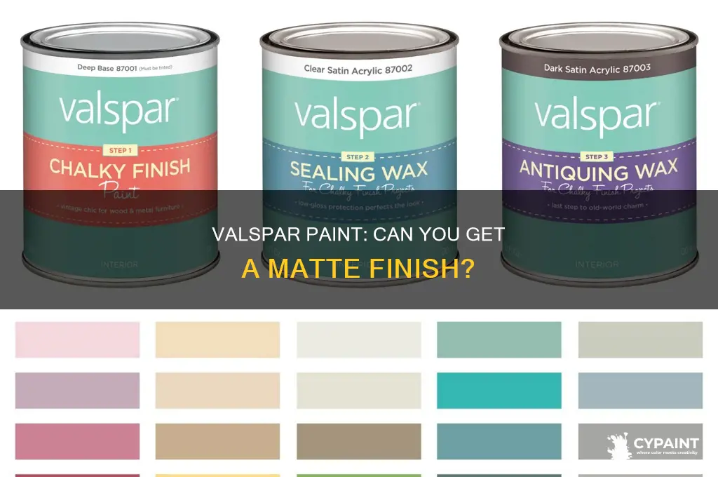 Valspar Paint: Can You Get A Matte Finish? | CyPaint