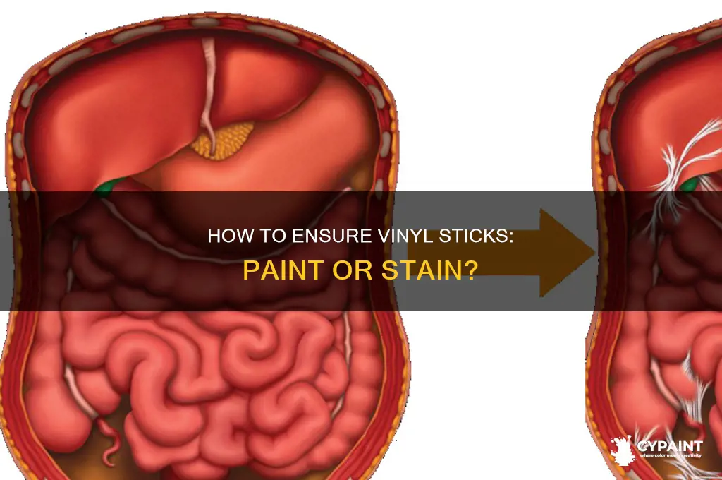 How To Ensure Vinyl Sticks: Paint Or Stain? | CyPaint