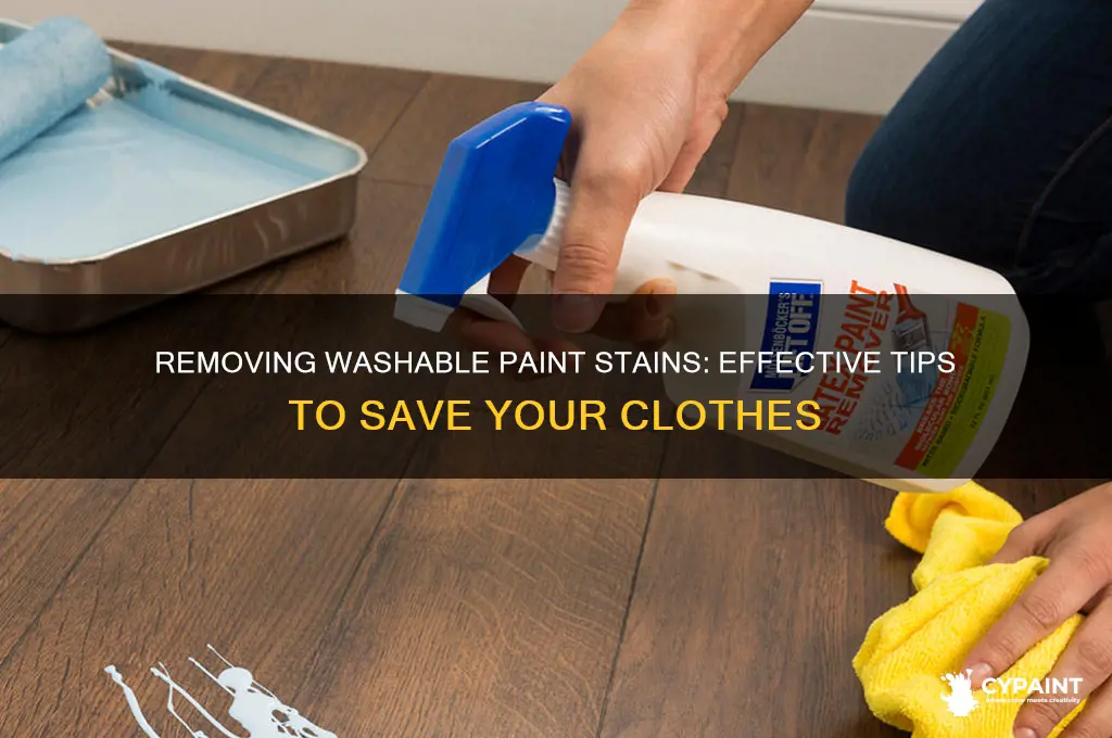 Removing Washable Paint Stains: Effective Tips To Save Your Clothes ...