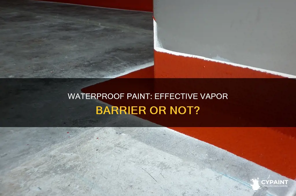 Waterproof Paint: Effective Vapor Barrier Or Not? | CyPaint