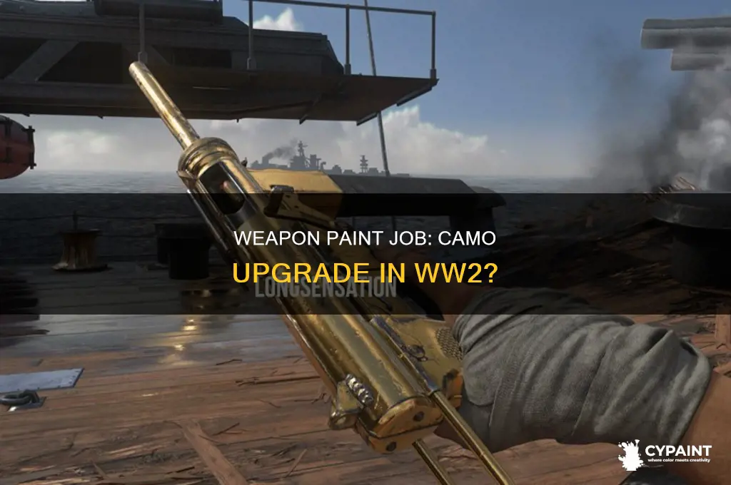 Weapon Paint Job: Camo Upgrade In Ww2? | CyPaint