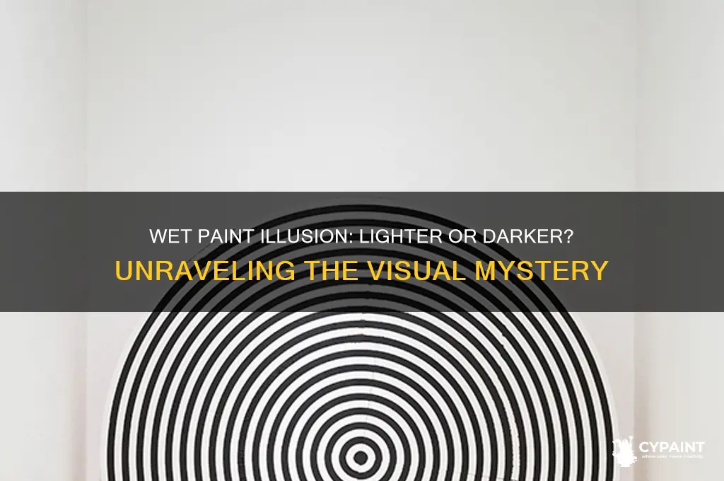 Wet Paint Illusion: Lighter Or Darker? Unraveling The Visual Mystery ...