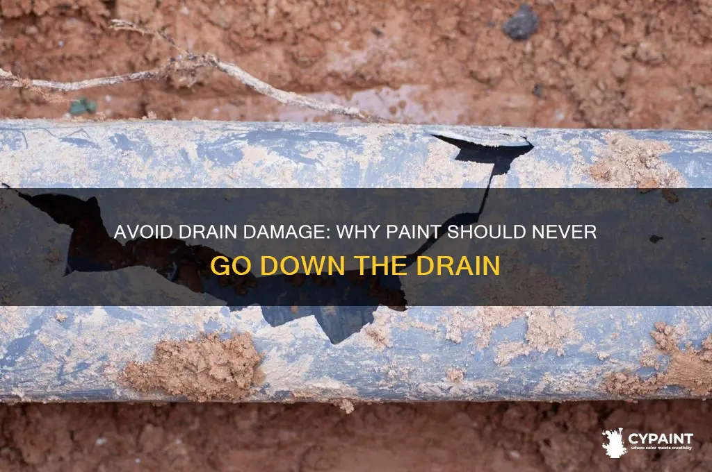 Avoid Drain Damage: Why Paint Should Never Go Down The Drain | CyPaint