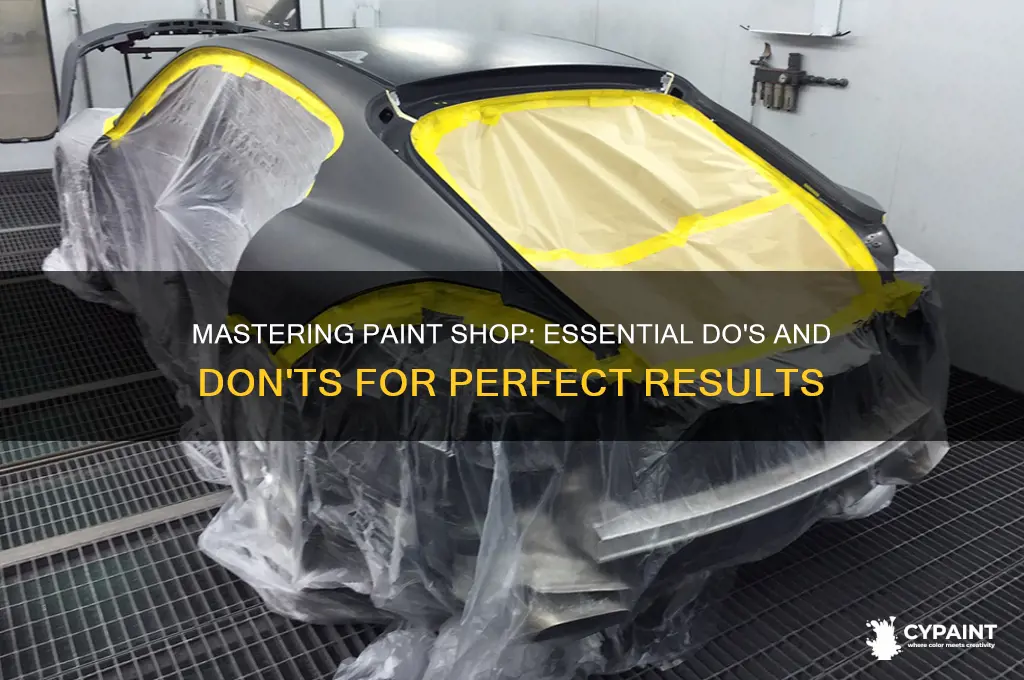 Mastering Paint Shop: Essential Do's And Don'ts For Perfect Results ...