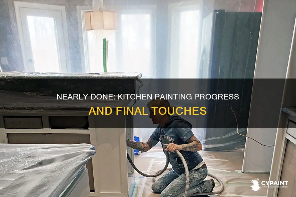 Nearly Done: Kitchen Painting Progress And Final Touches | CyPaint