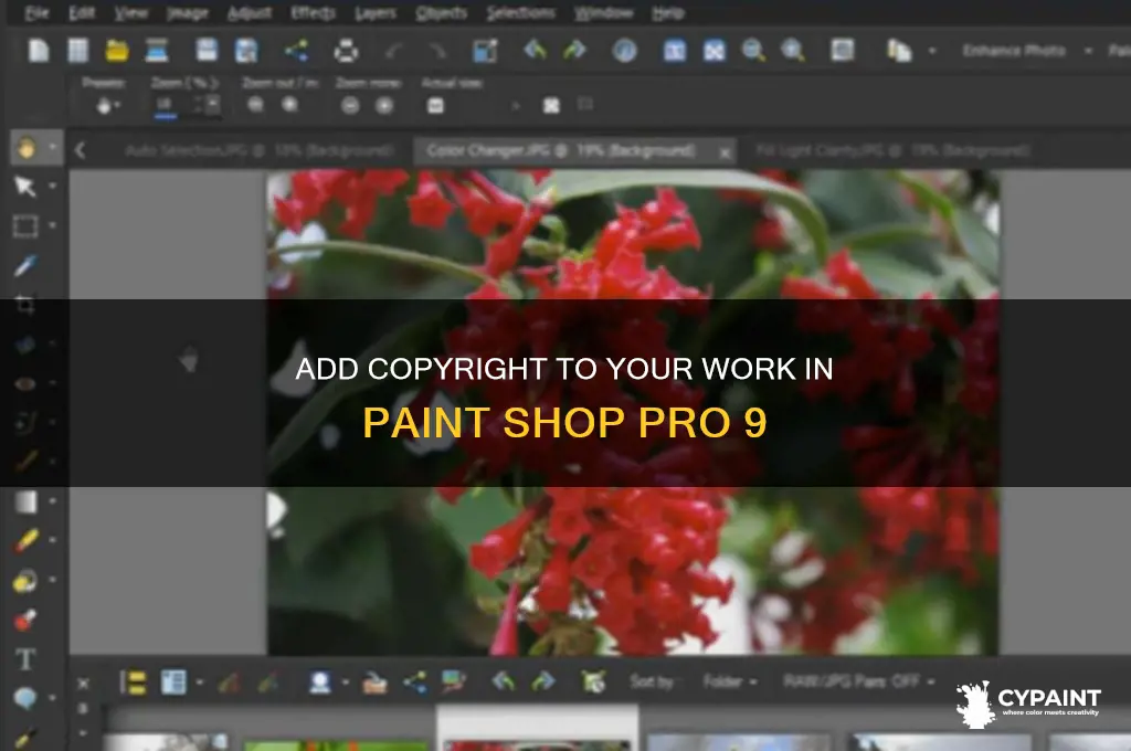Add Copyright To Your Work In Paint Shop Pro 9 | CyPaint