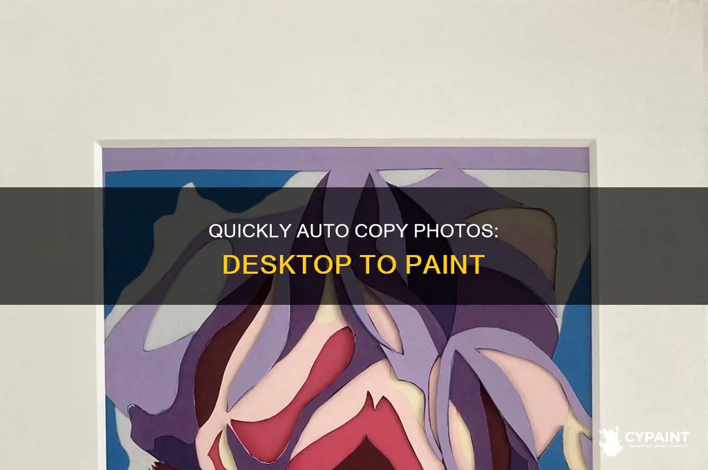 Quickly Auto Copy Photos: Desktop To Paint | CyPaint