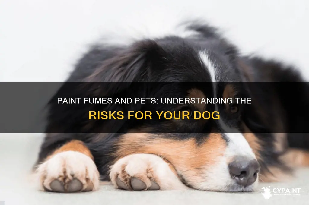 Paint Fumes And Pets: Understanding The Risks For Your Dog | CyPaint