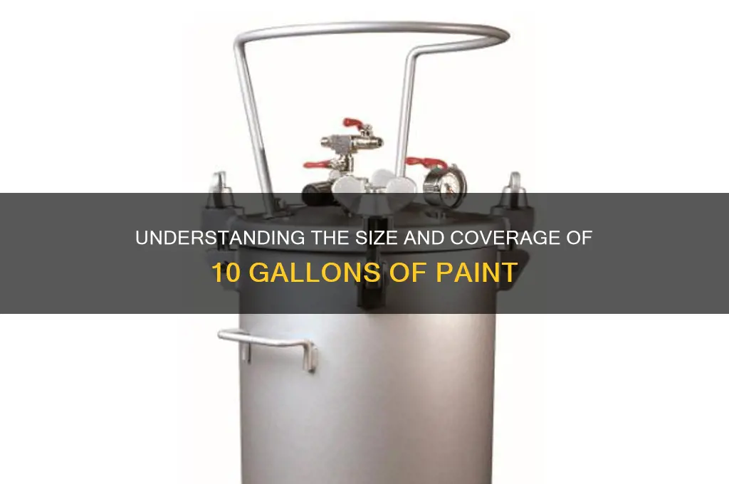 Understanding The Size And Coverage Of 10 Gallons Of Paint | CyPaint