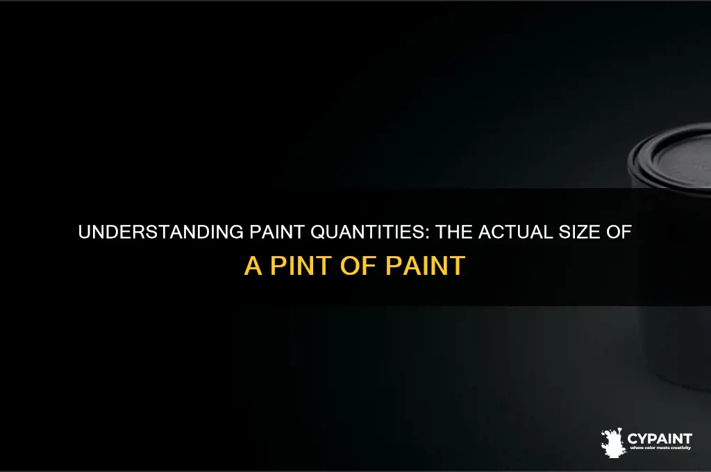 Understanding Paint Quantities: The Actual Size Of A Pint Of Paint ...