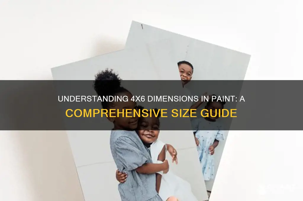 Understanding 4X6 Dimensions In Paint: A Comprehensive Size Guide | CyPaint