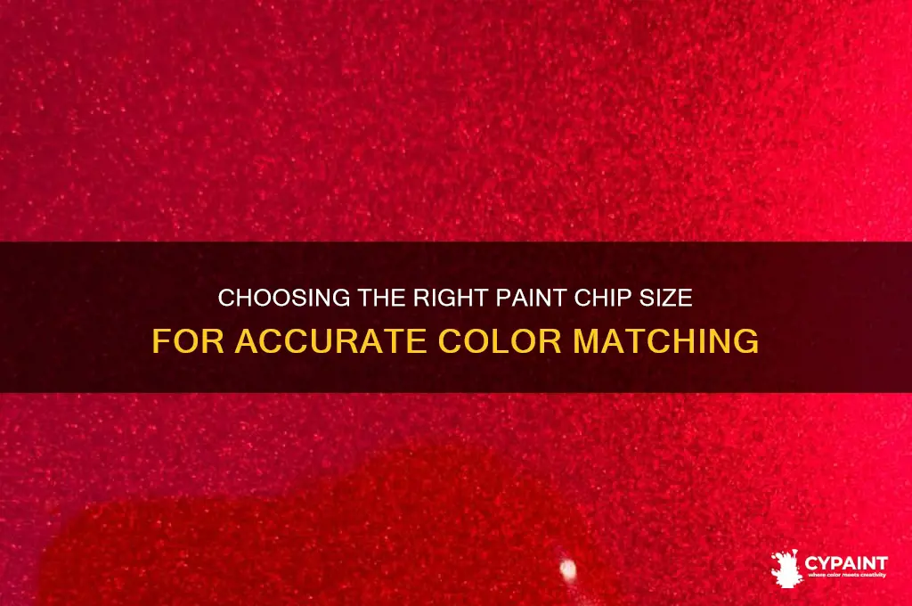 Choosing The Right Paint Chip Size For Accurate Color Matching | CyPaint